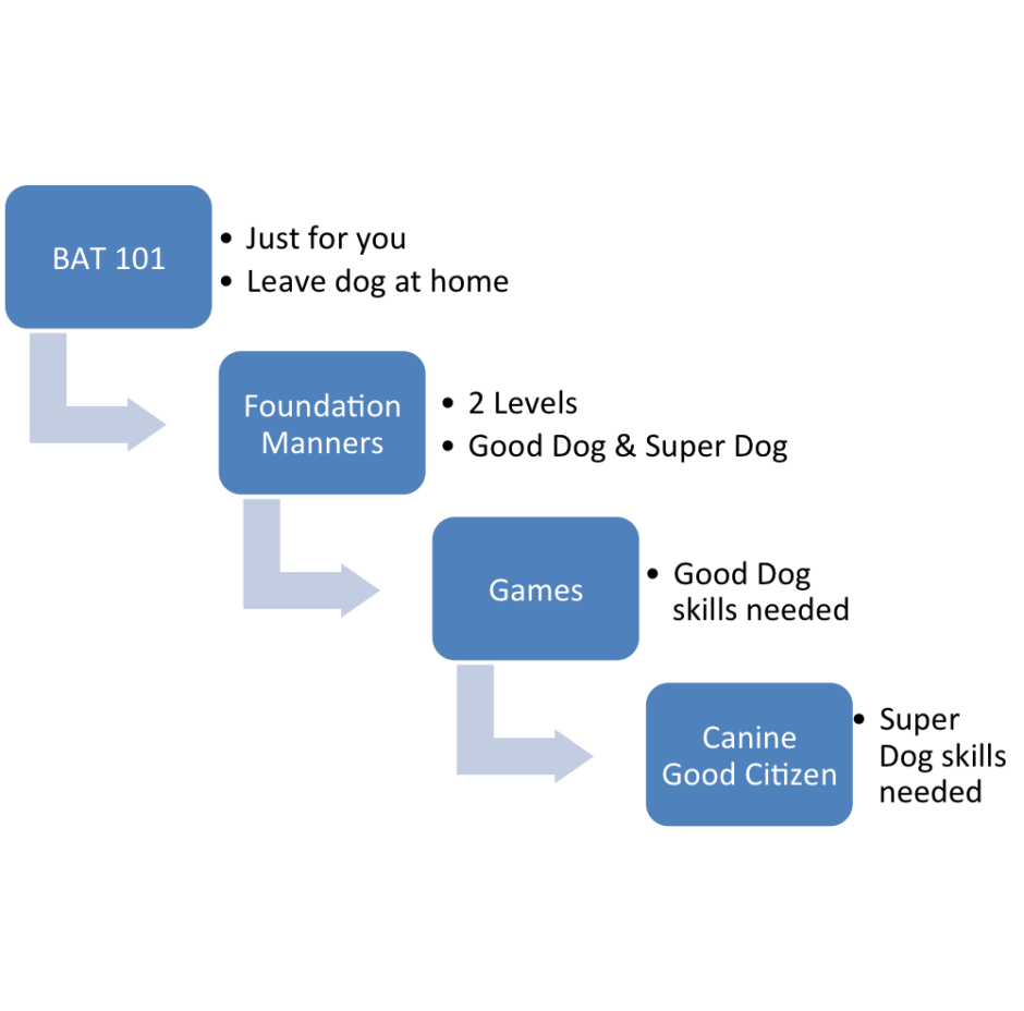 Family Dog Training | Greater St. Louis Training Club